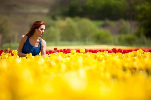 How to use horizontal lines in photography composition