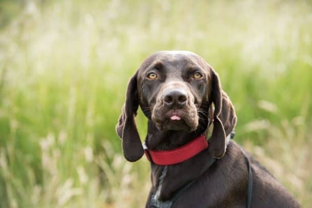 How to use a gray card to meter exposure (plus 3 other photo uses)