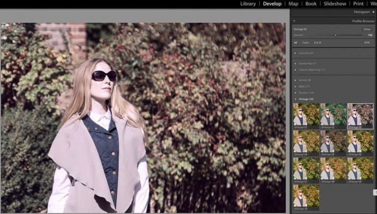 In camera color settings and Lightroom color profiles