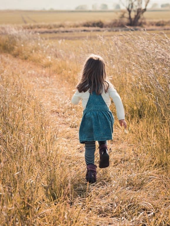 Curves and S curve photography composition