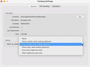 How to create and use the Lightroom catalog in Lightroom Classic