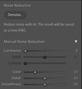 What is noise reduction in photography editing (Lightroom 2024)