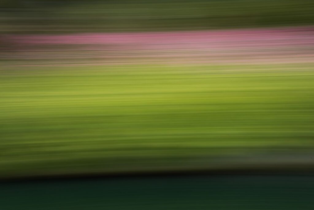 Panning photography - capturing action with motion blur