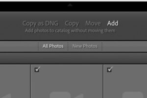 How to delete photos from Lightroom SAFELY (step-by-step guide)
