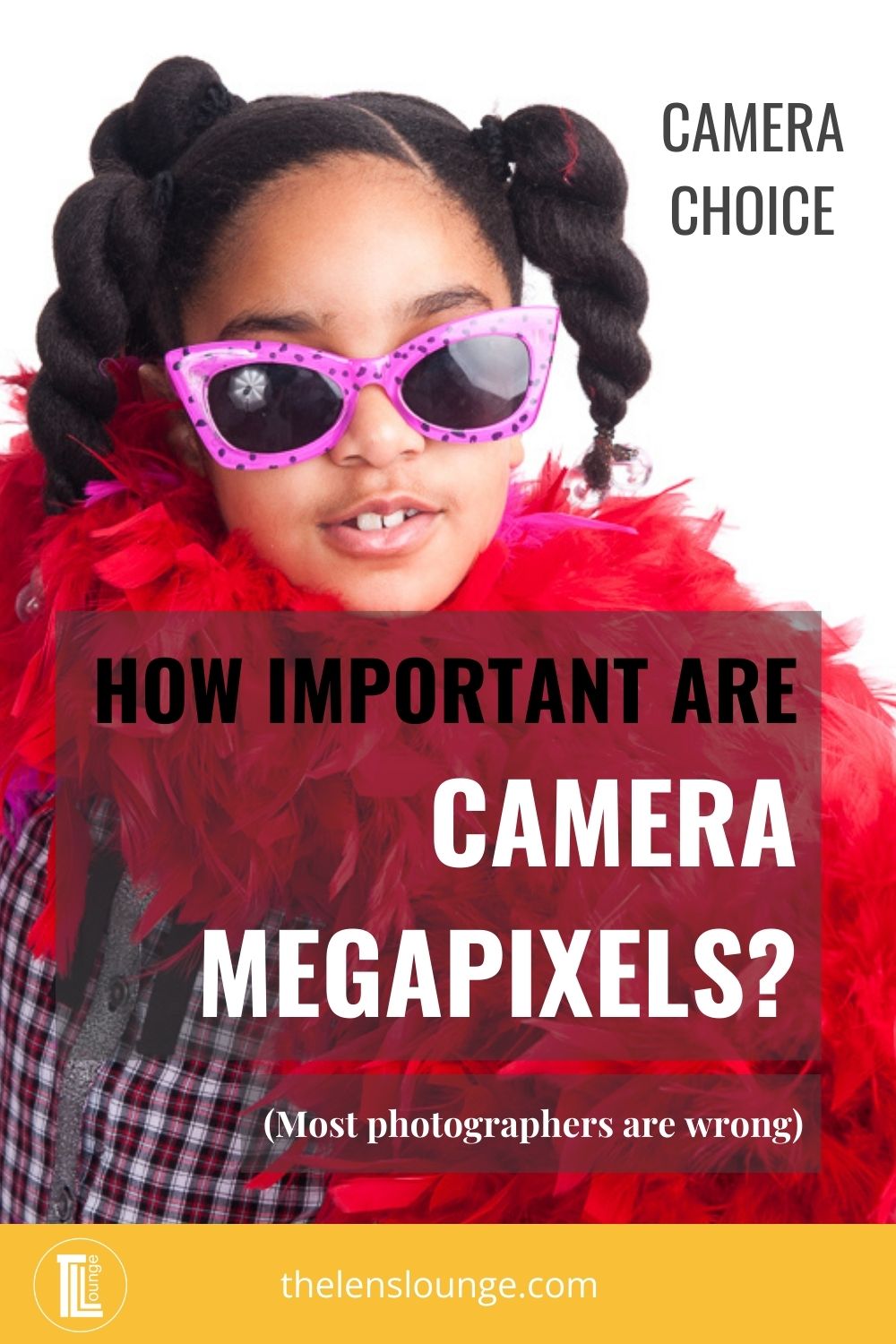 How important are camera megapixels (print & post images online)