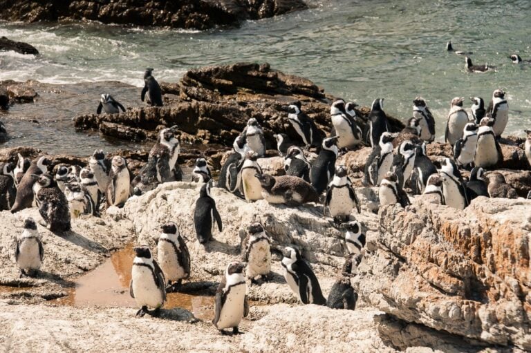 4 ways to use isolation in photography composition