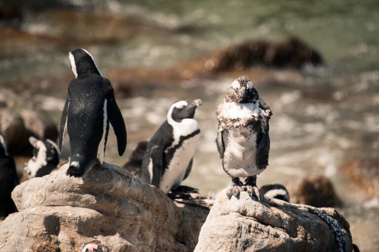 4 ways to use isolation in photography composition