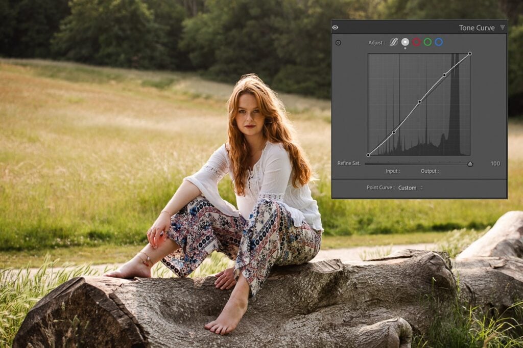 Master the Lightroom tone curve for next level photo editing