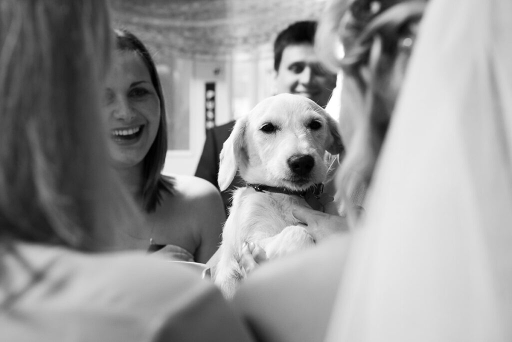 How to use differential focus in photography composition to tell a story