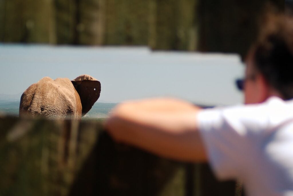 19 essential photography composition rules for creative photos