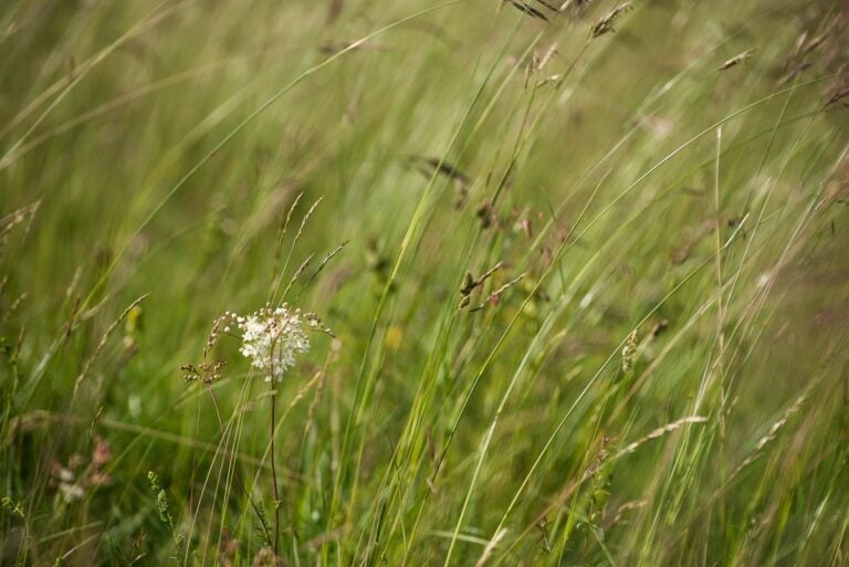 How to use pattern in photography composition for impact